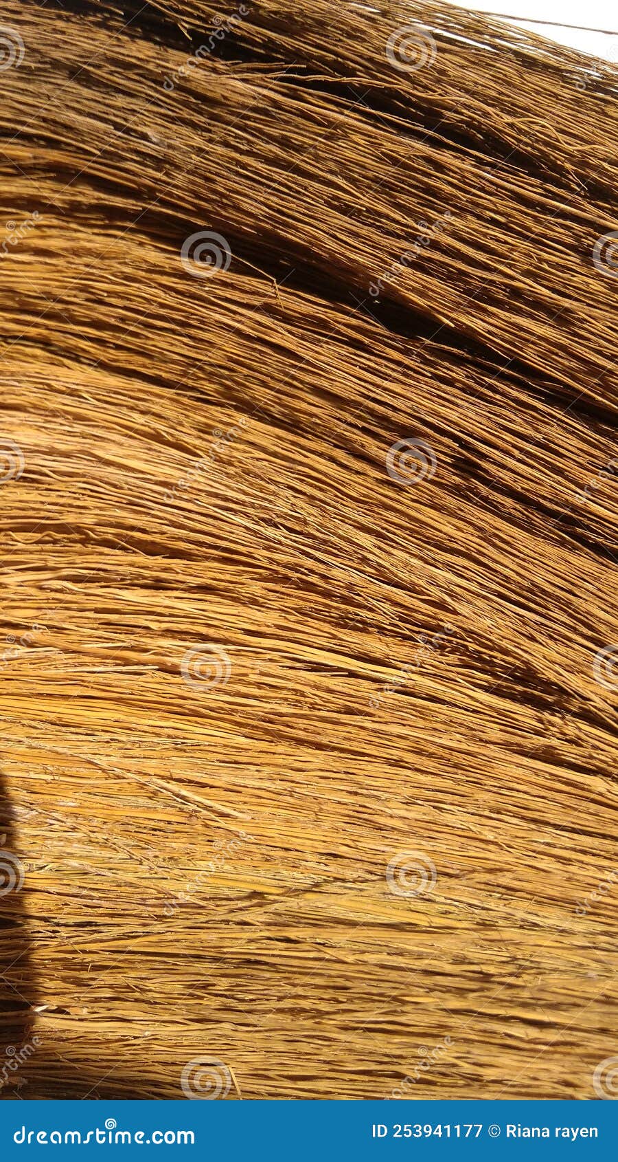 Thatch Background Royalty-Free Stock Photography | CartoonDealer.com ...