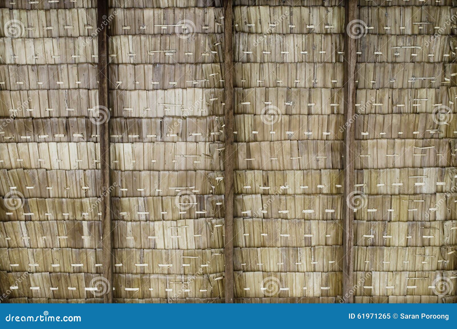 Thatch background pattern stock image. Image of thatch - 61971265