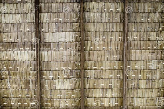 Thatch background pattern stock image. Image of thatch - 61971265