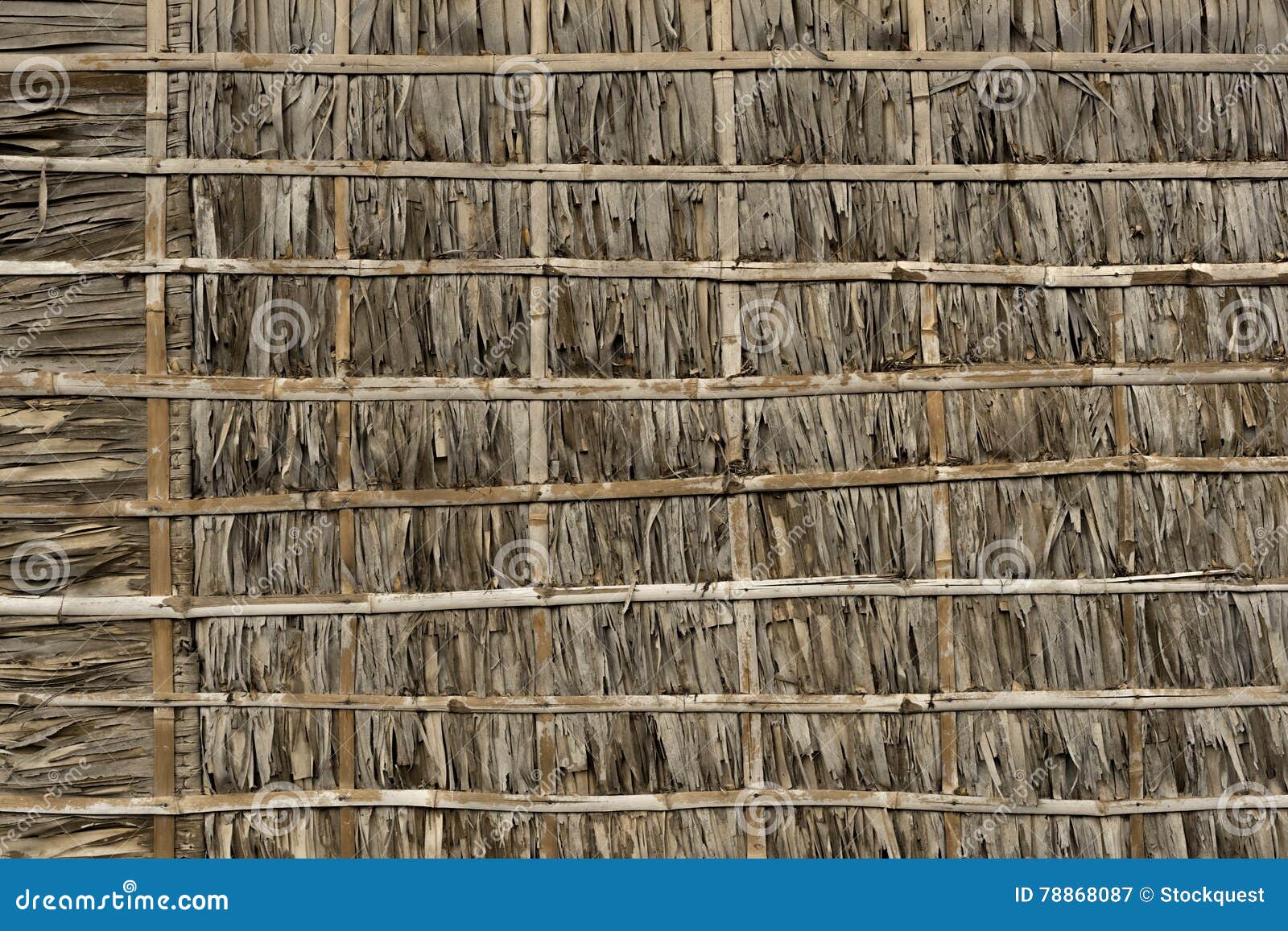 Thatch and Bamboo Wall stock image. Image of bamboo, thatch - 78868087