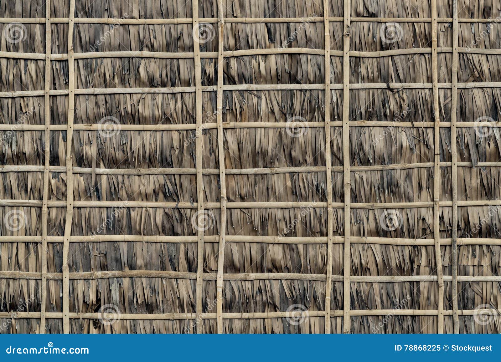Thatch and Bamboo Wall stock image. Image of background - 78868225