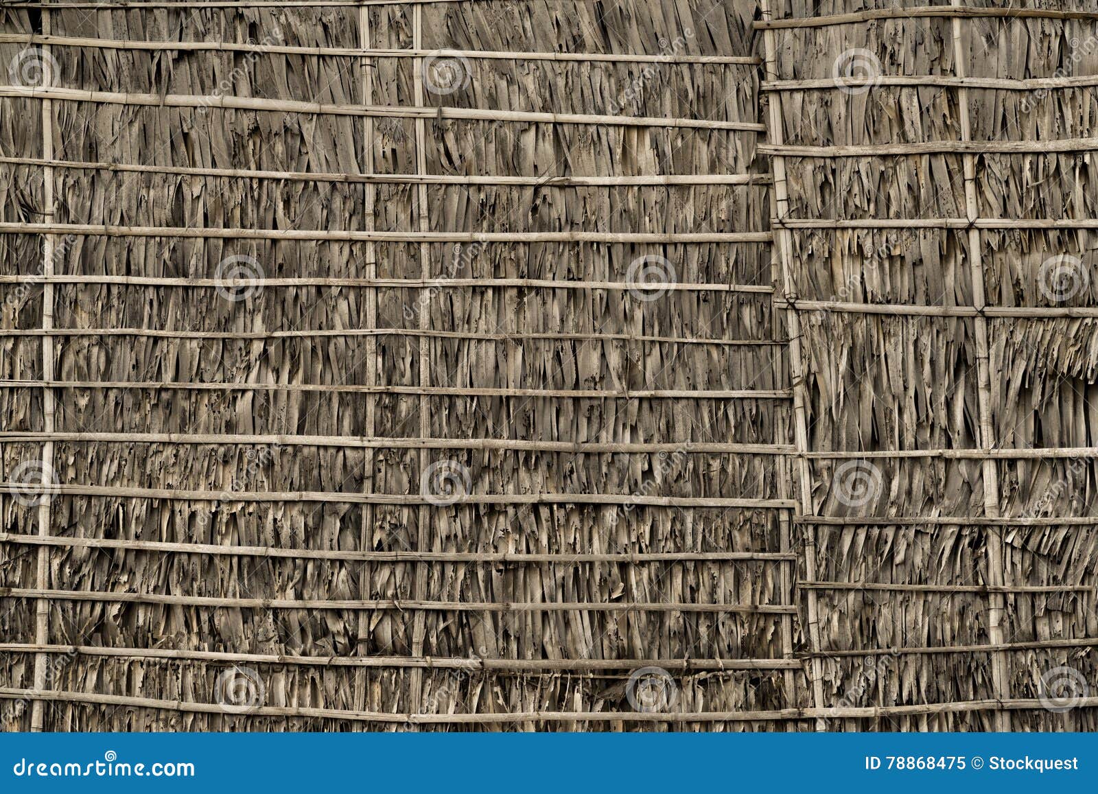 Thatch and Bamboo Wall stock image. Image of graphic - 78868475