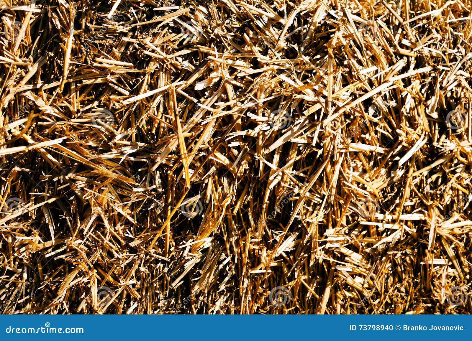 Thatch stock photo. Image of construction, cottage, decoration - 73798940