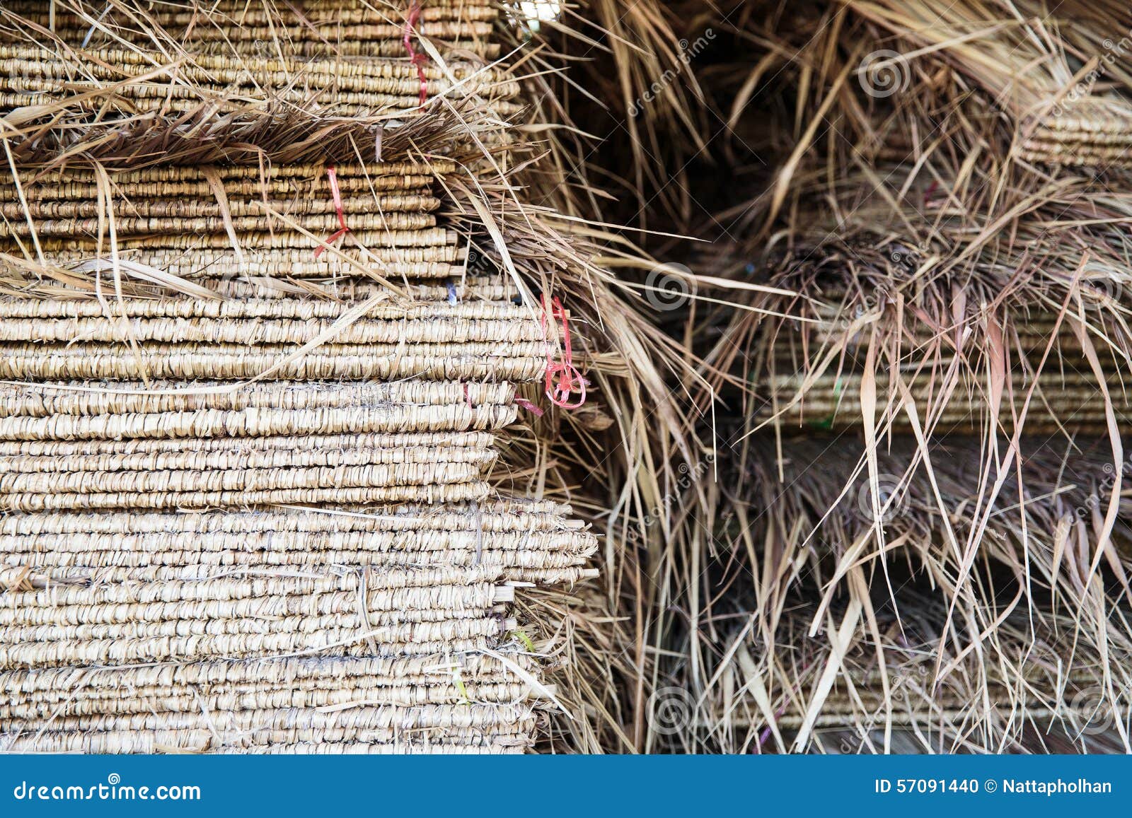 Thatch stock photo. Image of wood, bamboo, closeup, rough - 57091440