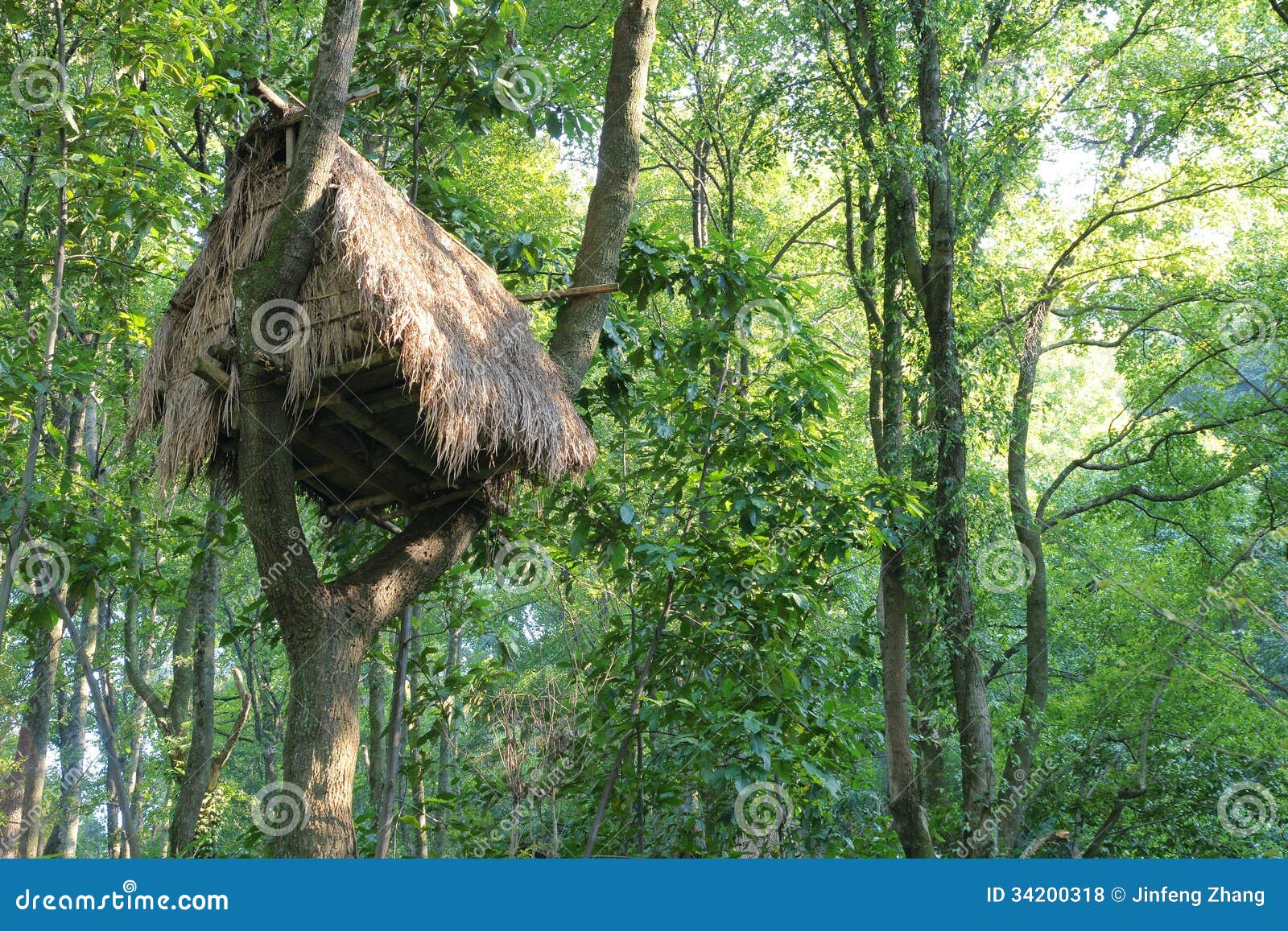 Thatch hut stock photo. Image of scenic, green, cottage - 34200318