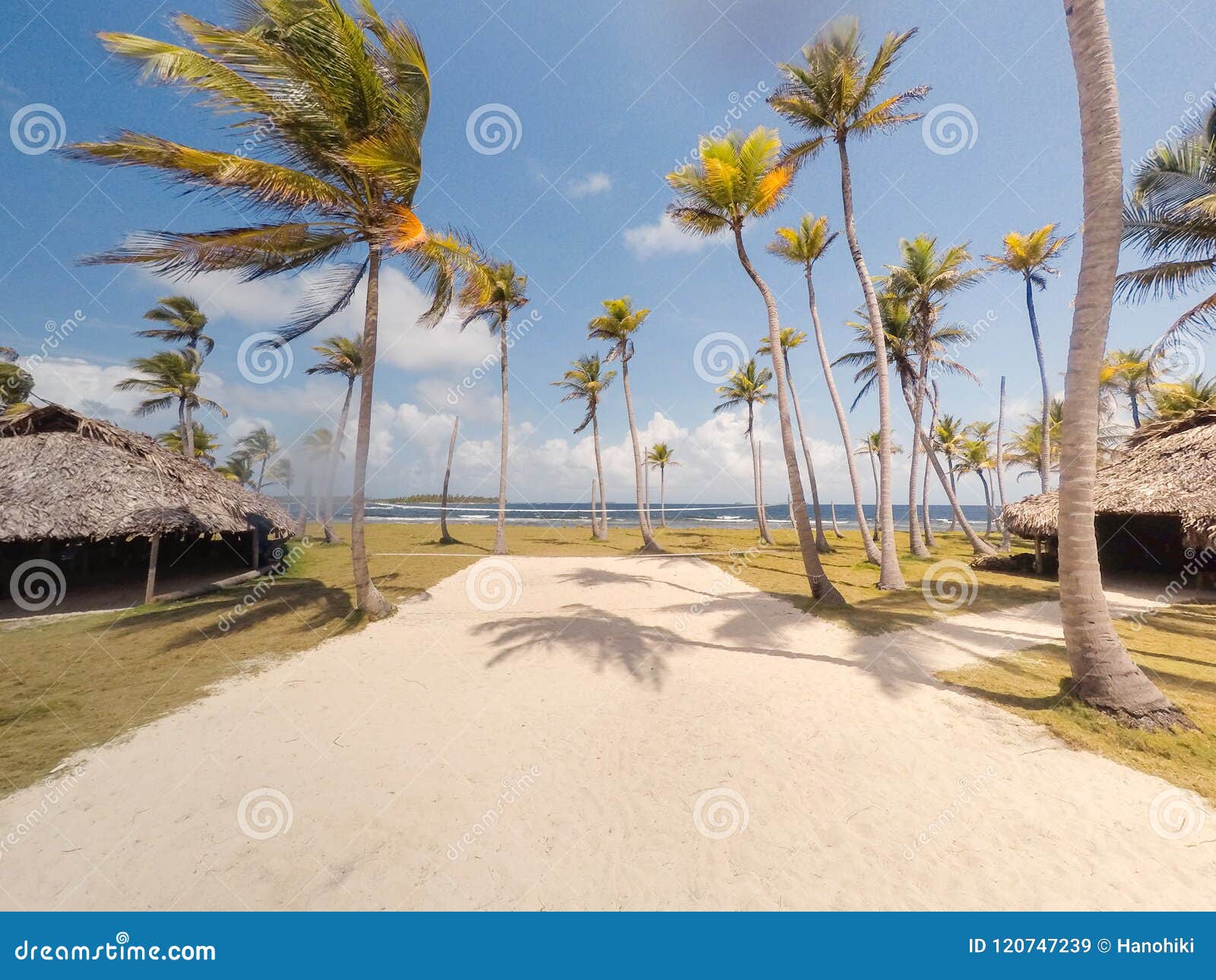 Thatch Huts / Bungalows on Small Tropical Island with Palm Trees Stock ...