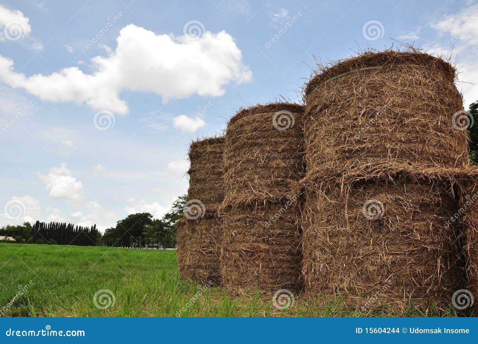 Thatch roll stock photo. Image of silence, mixed, countryside - 15604244