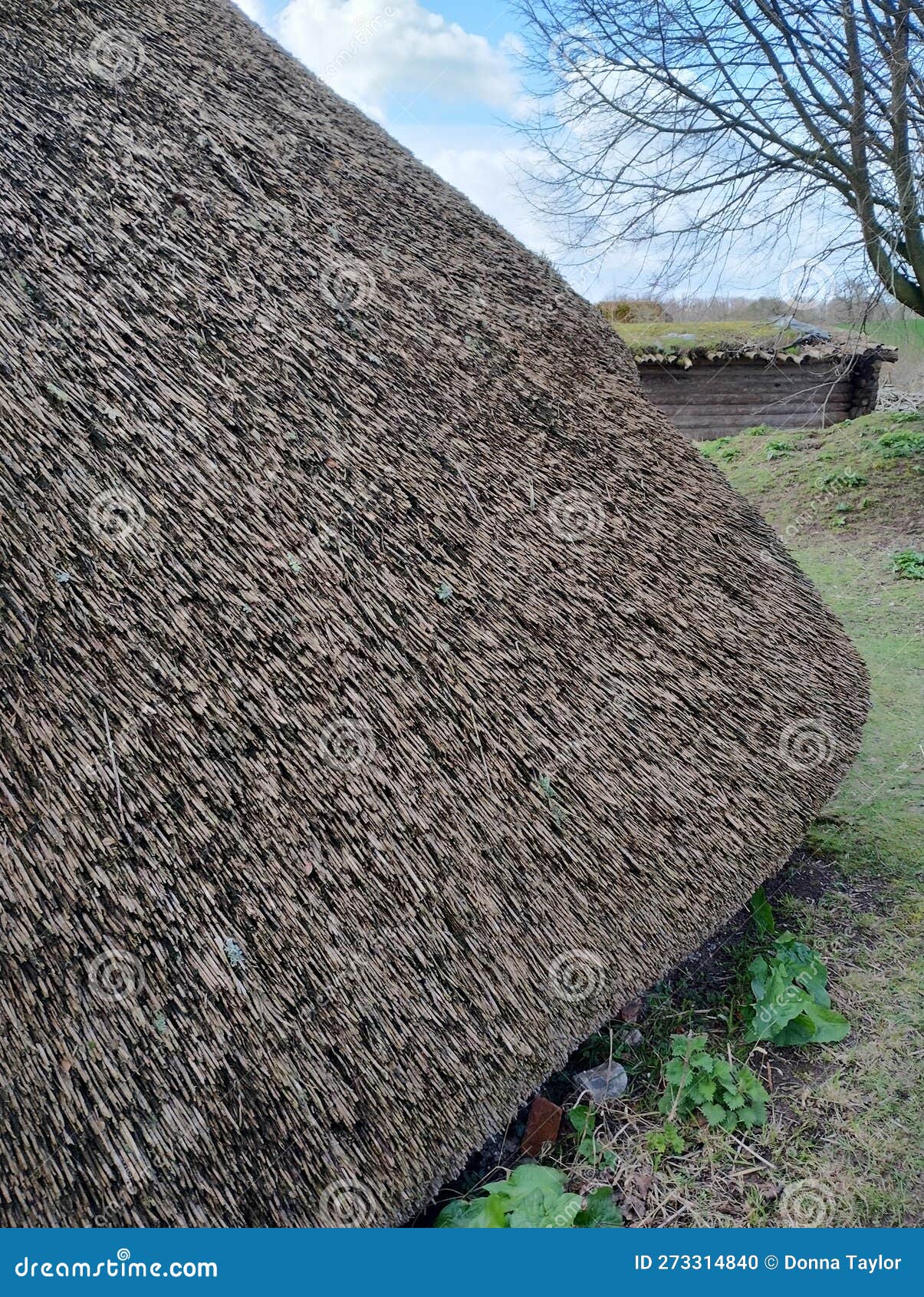 Thatch Roof of Ancient Roundhouse Stock Photo - Image of grass, soil ...