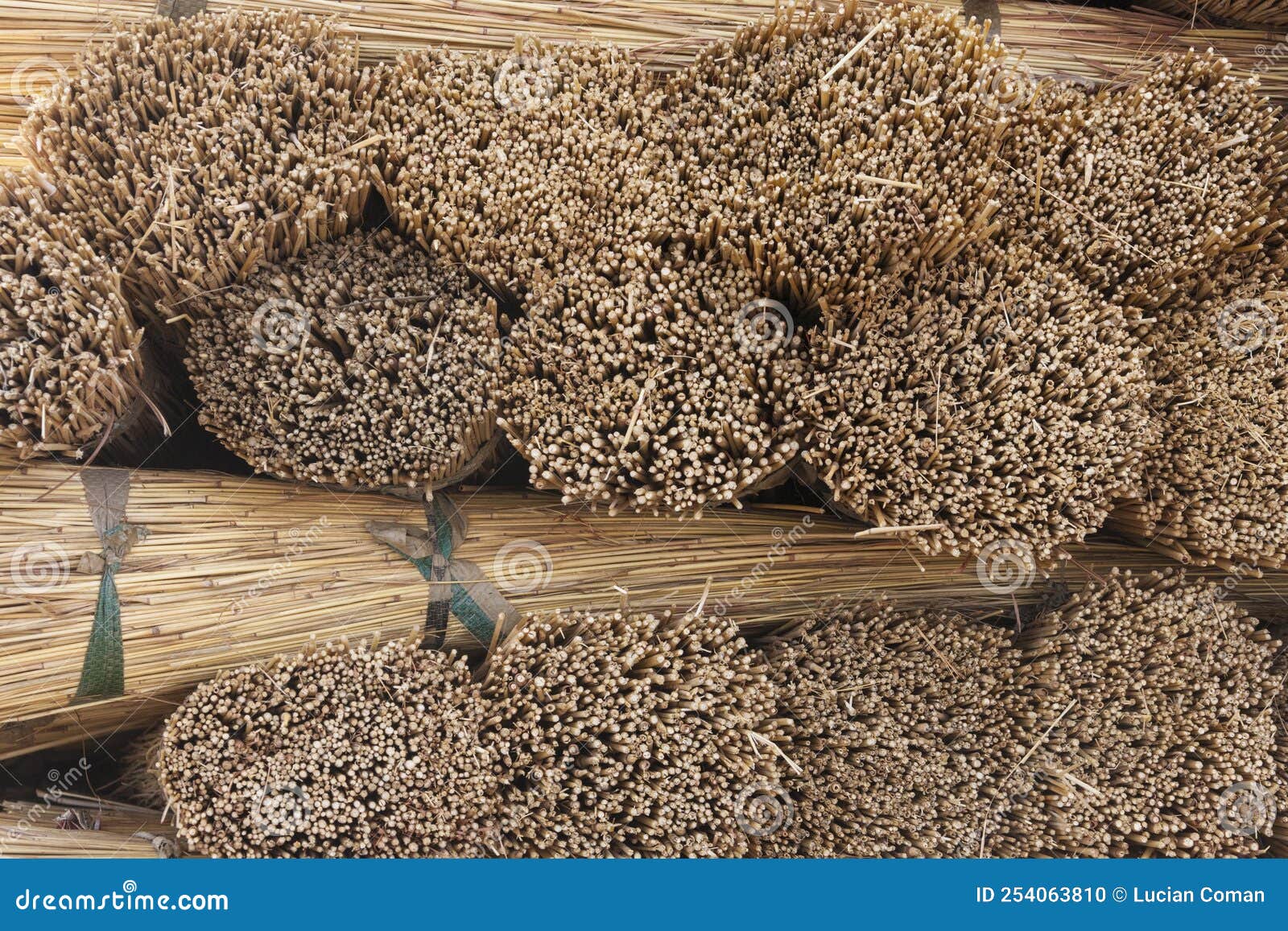 Thatch for roof stock photo. Image of nature, primitive - 254063810