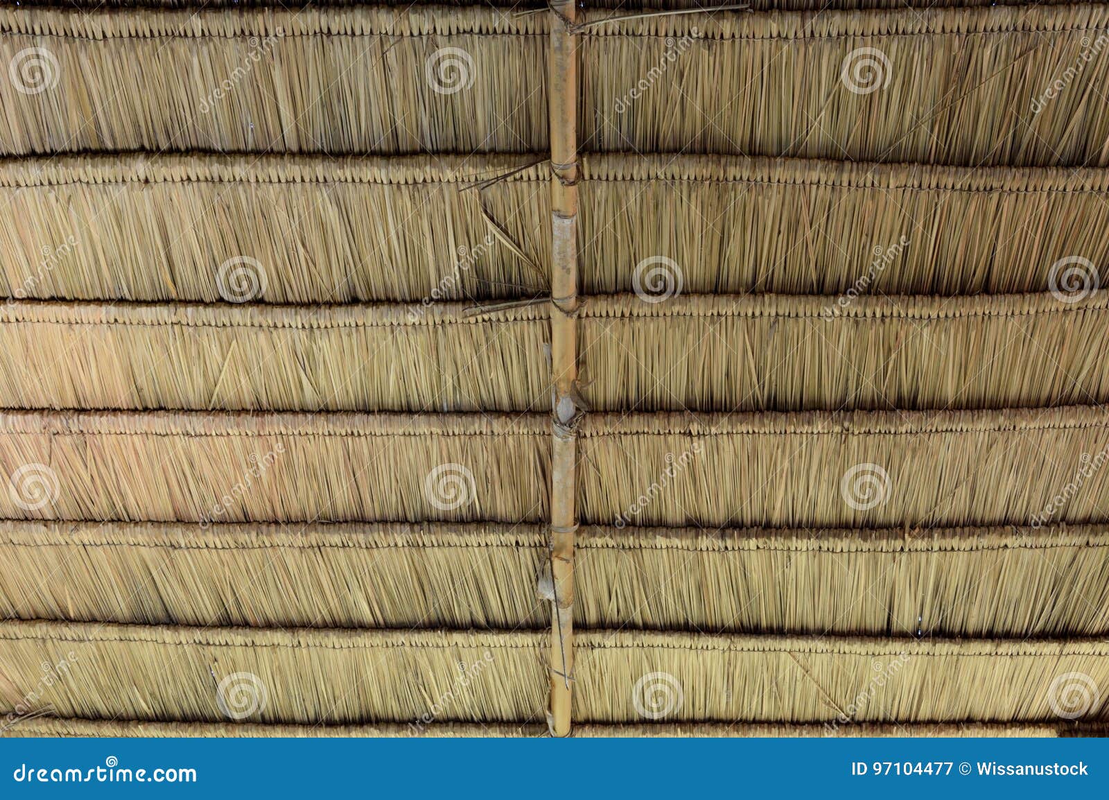 Thatch roof stock image. Image of branch, thatch, ancient - 97104477
