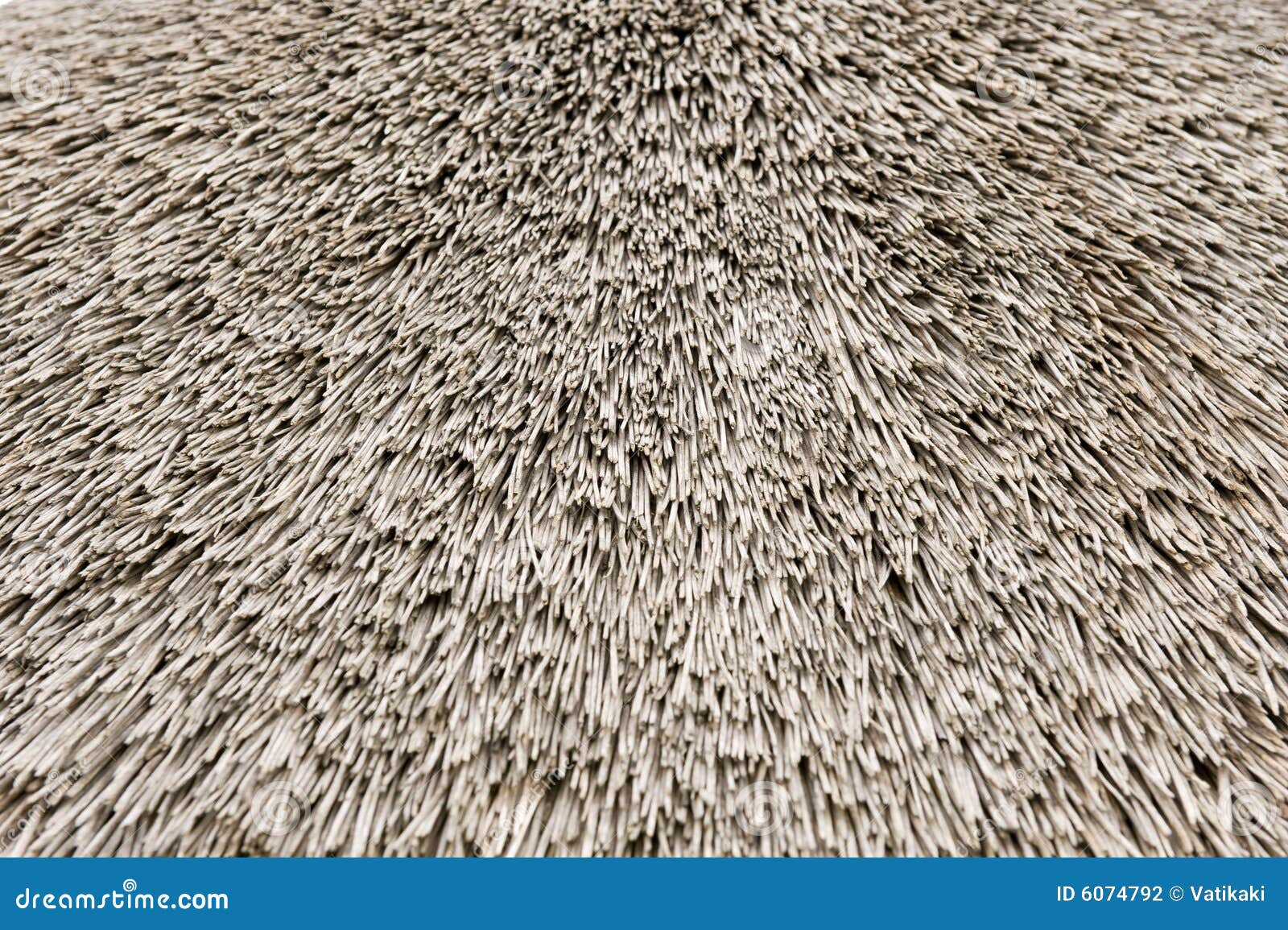 Thatch roof texture stock photo. Image of grass, thatch - 6074792