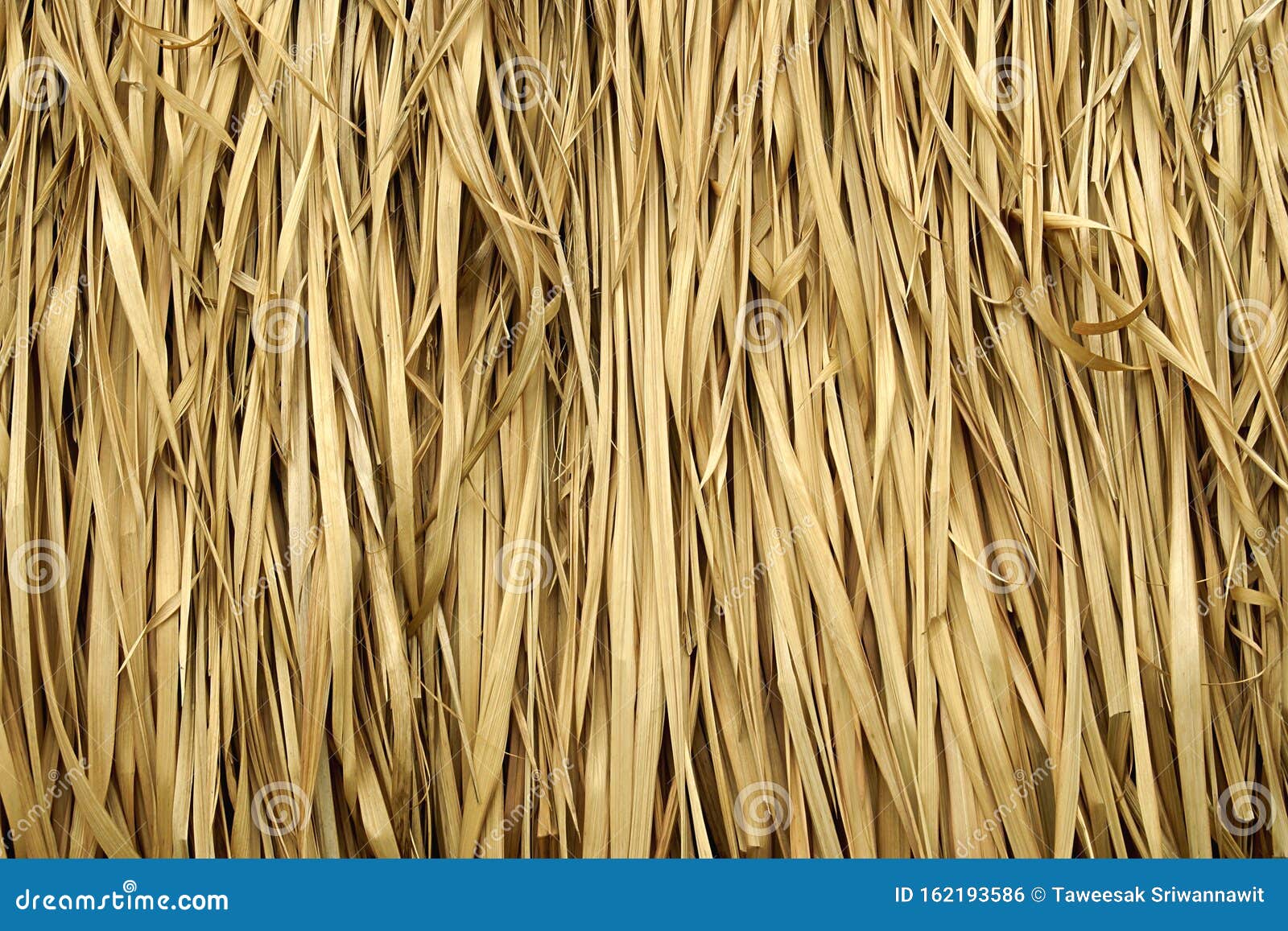 Thatch Roof Texture Stock Photos - Download 1,797 Royalty Free Photos