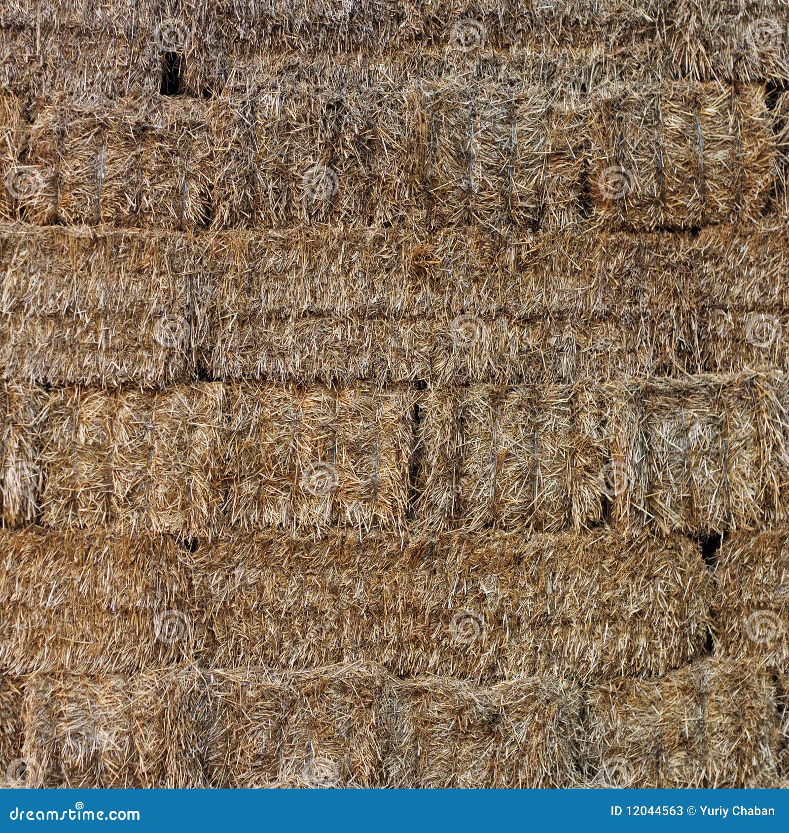 Thatch stack texture stock image. Image of feed, corn - 12044563