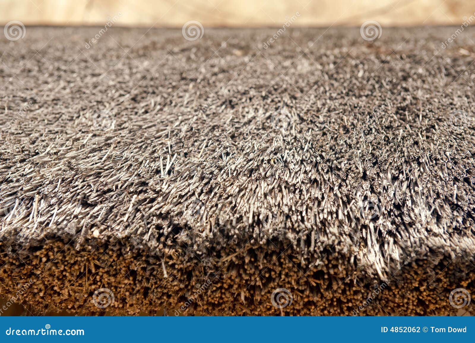 Thatch Texture stock photo. Image of surface, details - 4852062