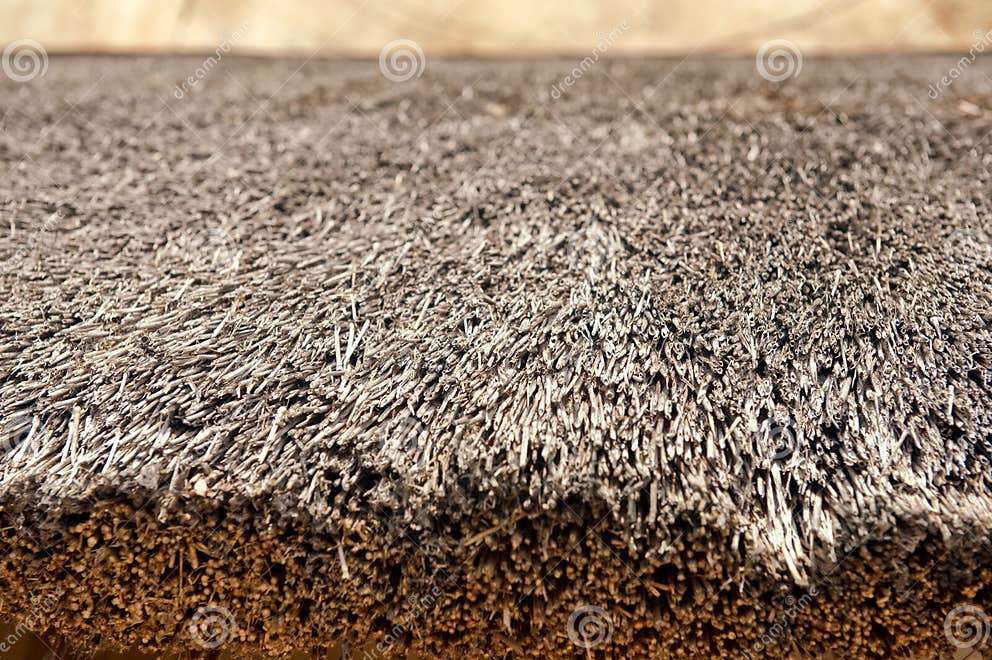 Thatch Texture stock photo. Image of surface, details - 4852062