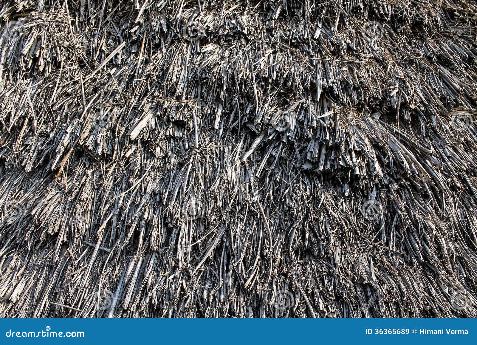 Thatch Texture stock image. Image of exotic, construction - 36365689