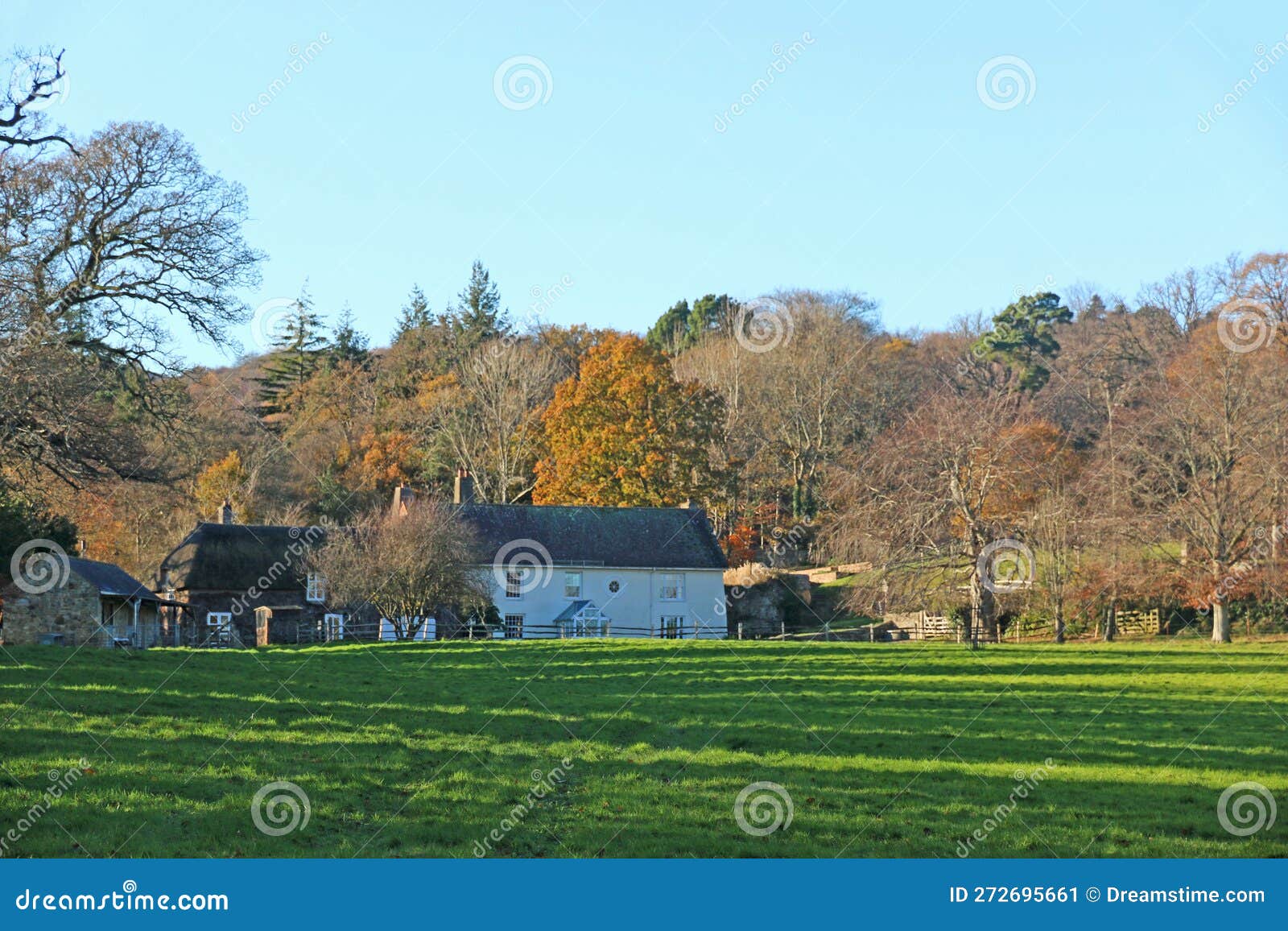 Thatched Cottage in a Field in Autumn Stock Image - Image of leaves ...