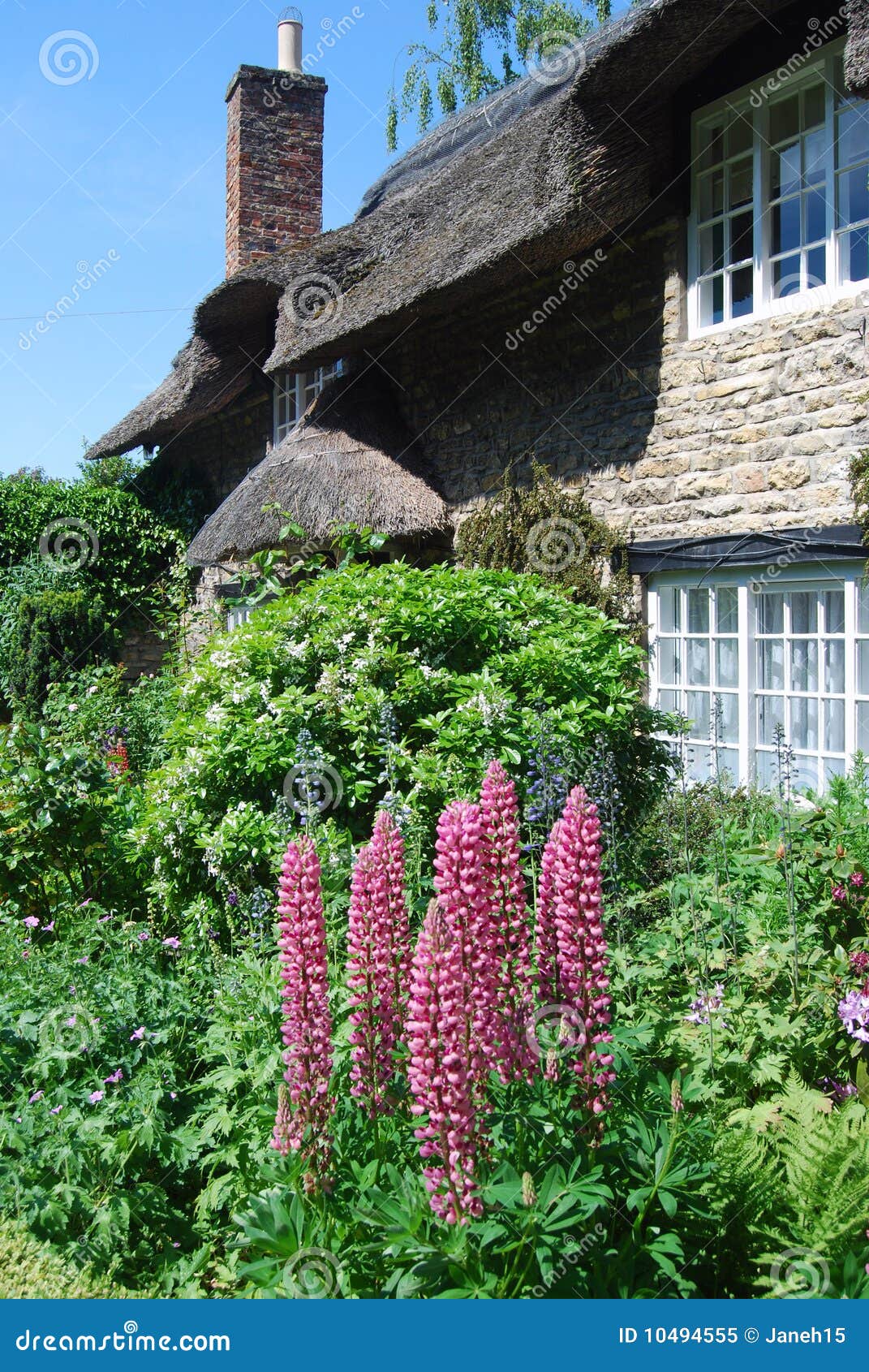 Thatched cottage garden stock image. Image of enchanting - 10494555