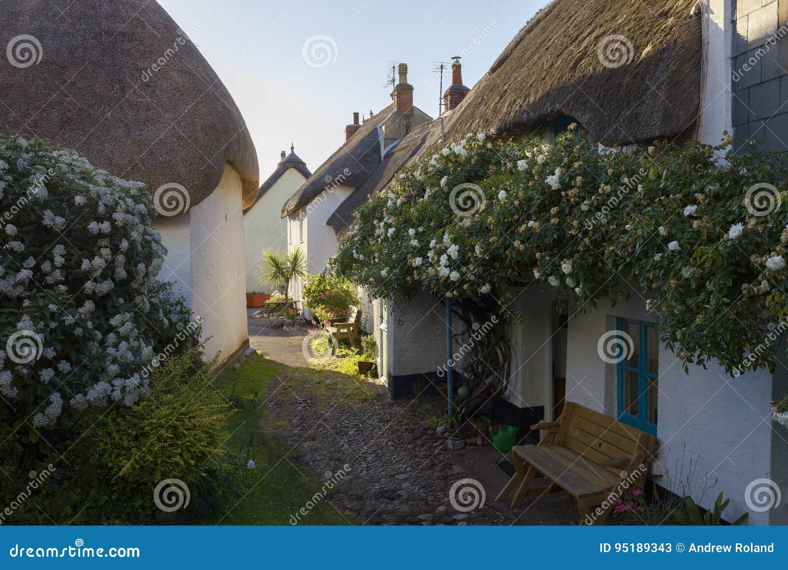 Thatched Cottages at Inner Hope, Hope Cove, Devon, England Stock Image ...