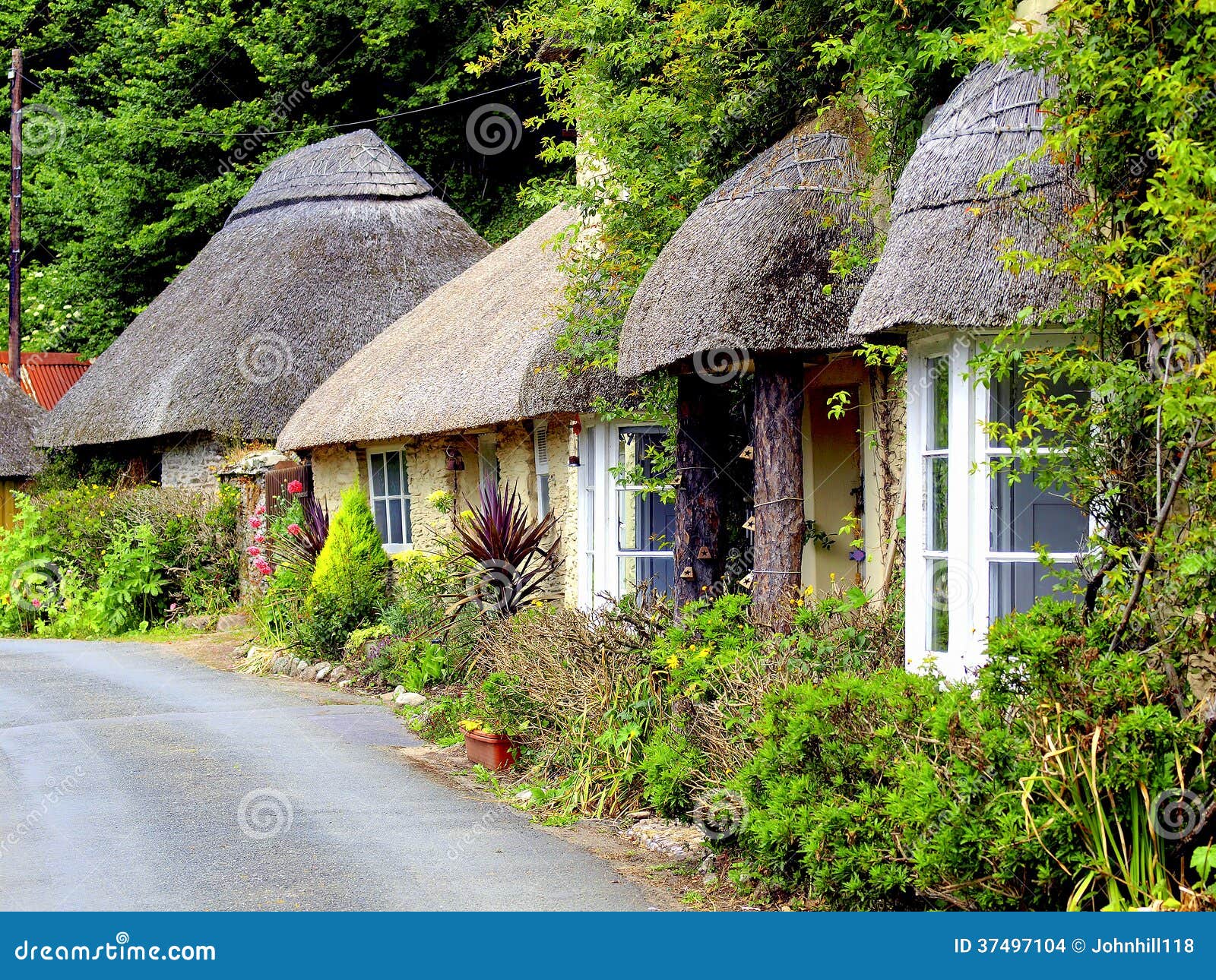 Thatched Cottages, South Devon. Editorial Stock Image - Image of ...