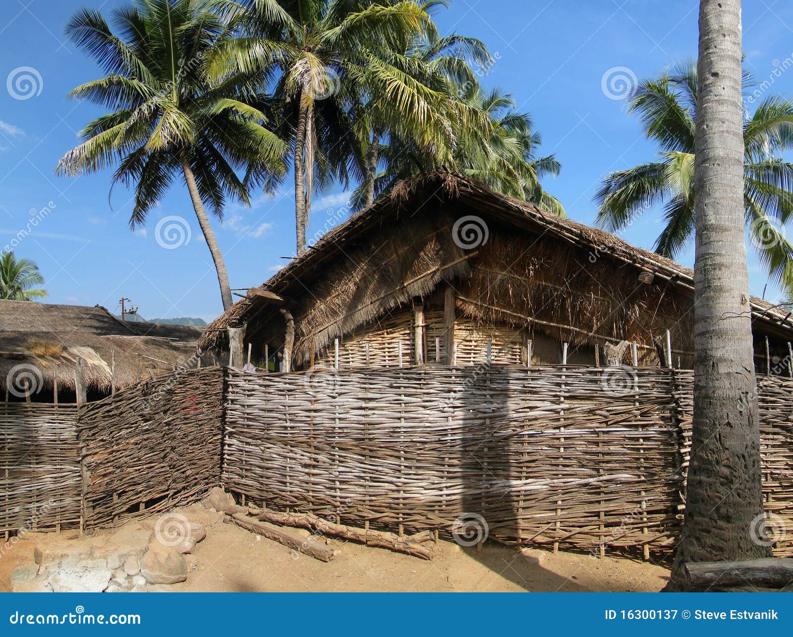Thatched Huts and Palm Trees Stock Image - Image of ethnic, farm: 16300137