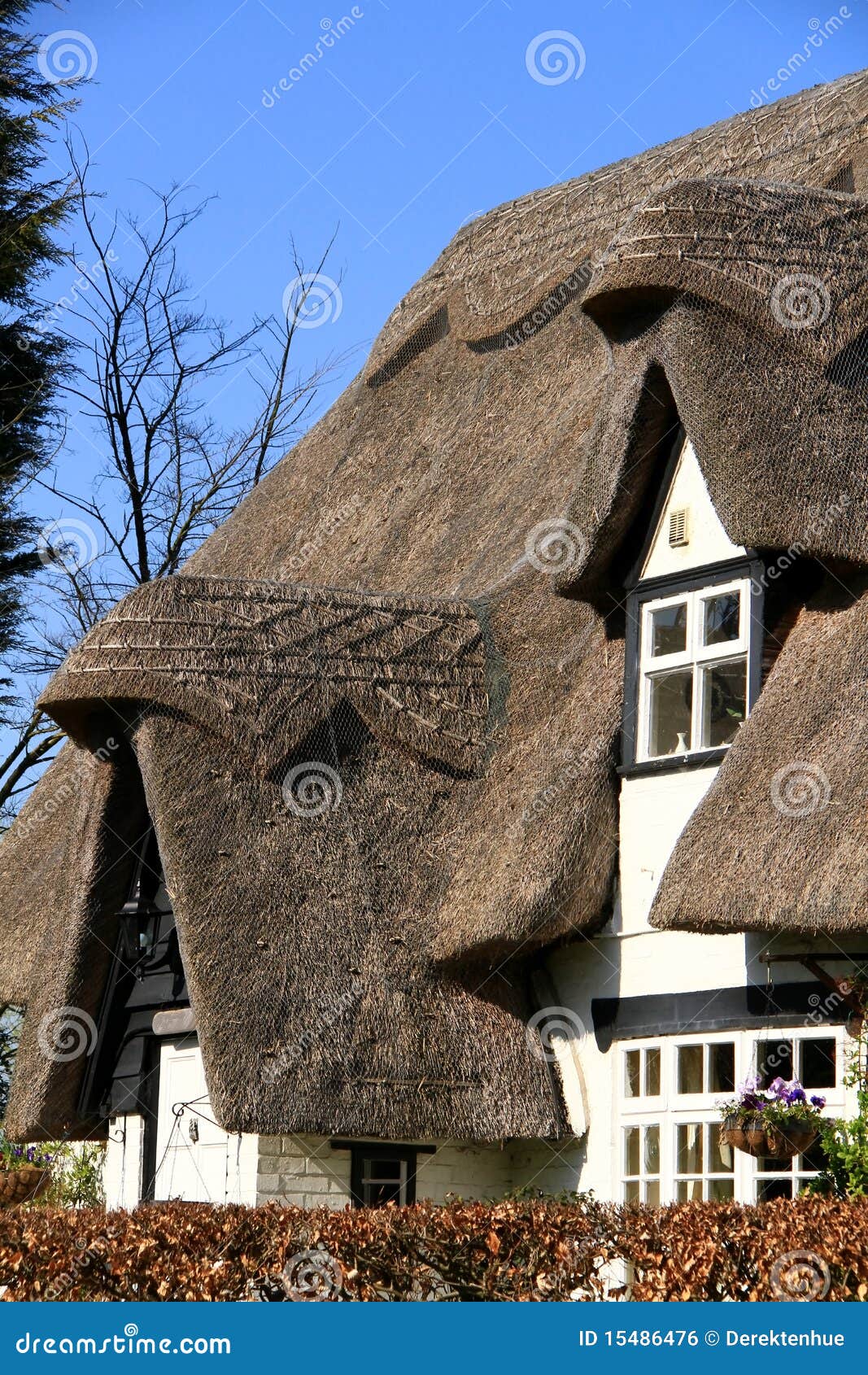 Thatched roof 1 stock photo. Image of victorian, roofing - 15486476
