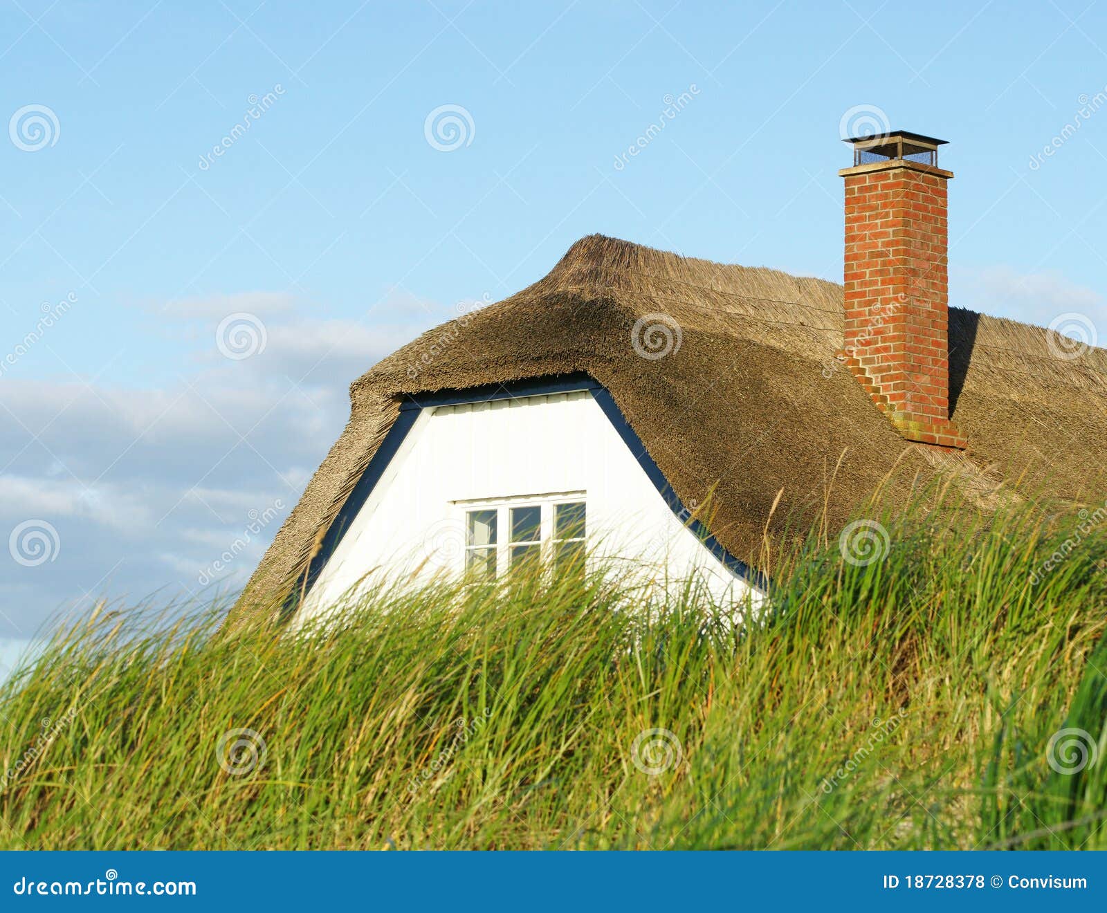 Thatched roof cottage stock photo. Image of thatched - 18728378