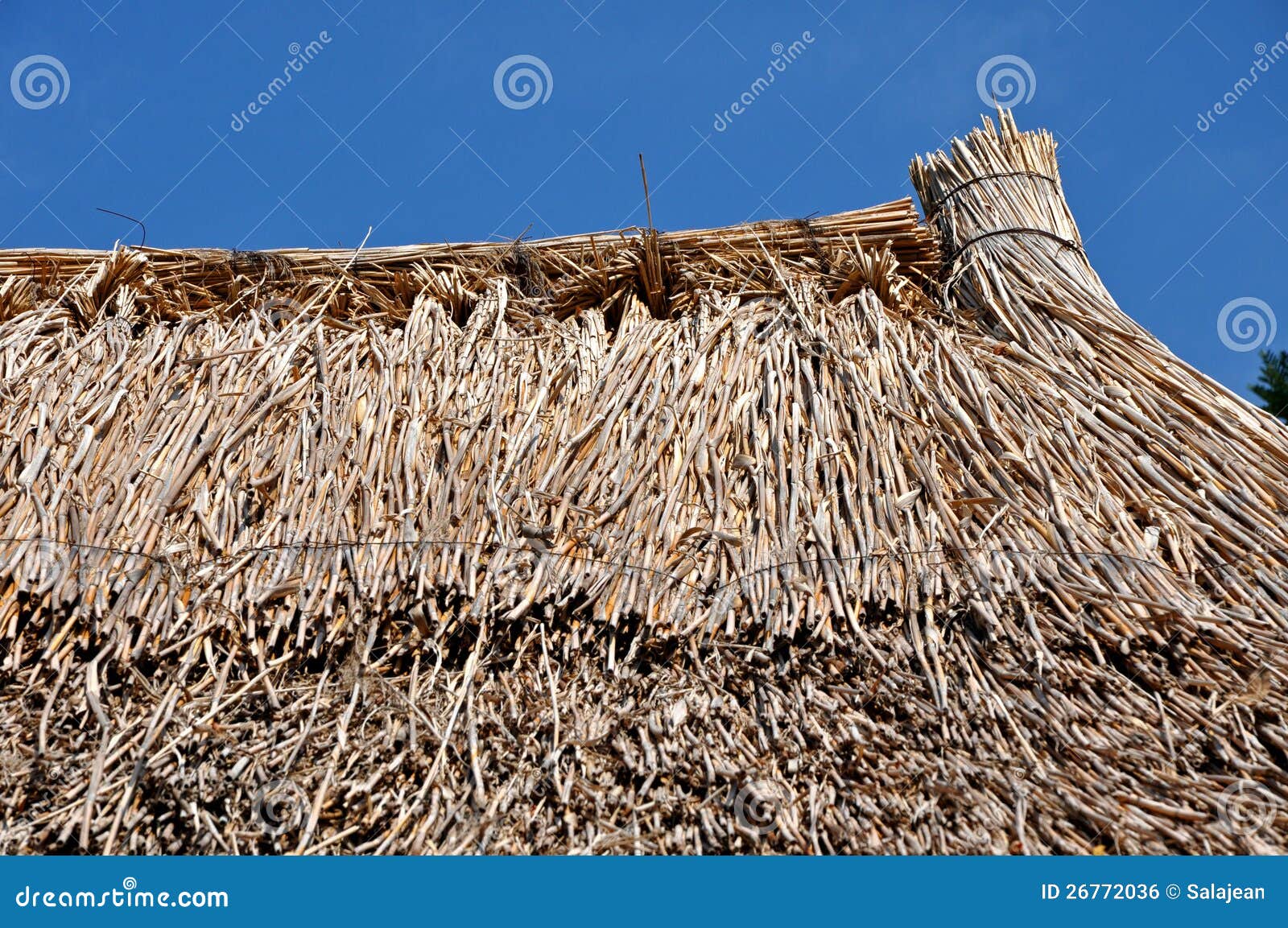 Thatched roof detail stock photo. Image of architecture - 26772036