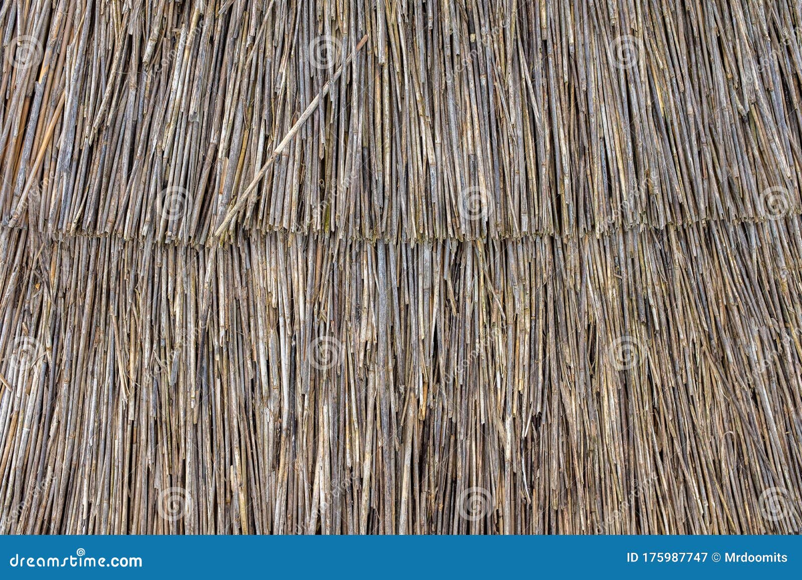 Thatched Roof Detail Texture Stock Image - Image of native, roofing ...