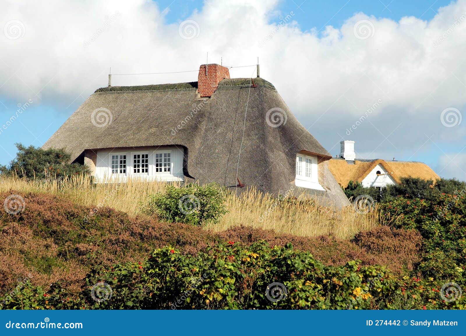 Thatched roof house 3 stock photo. Image of unique, thatched - 274442