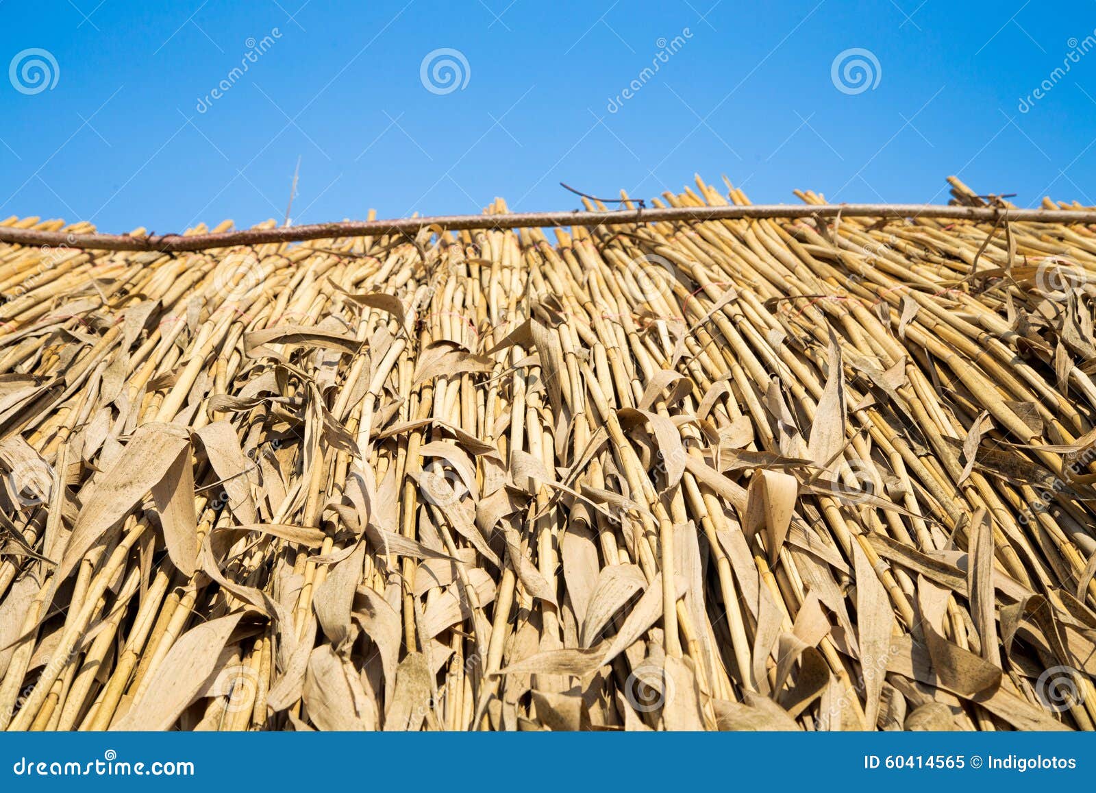 Thatched roof at the hut stock image. Image of beautiful - 60414565