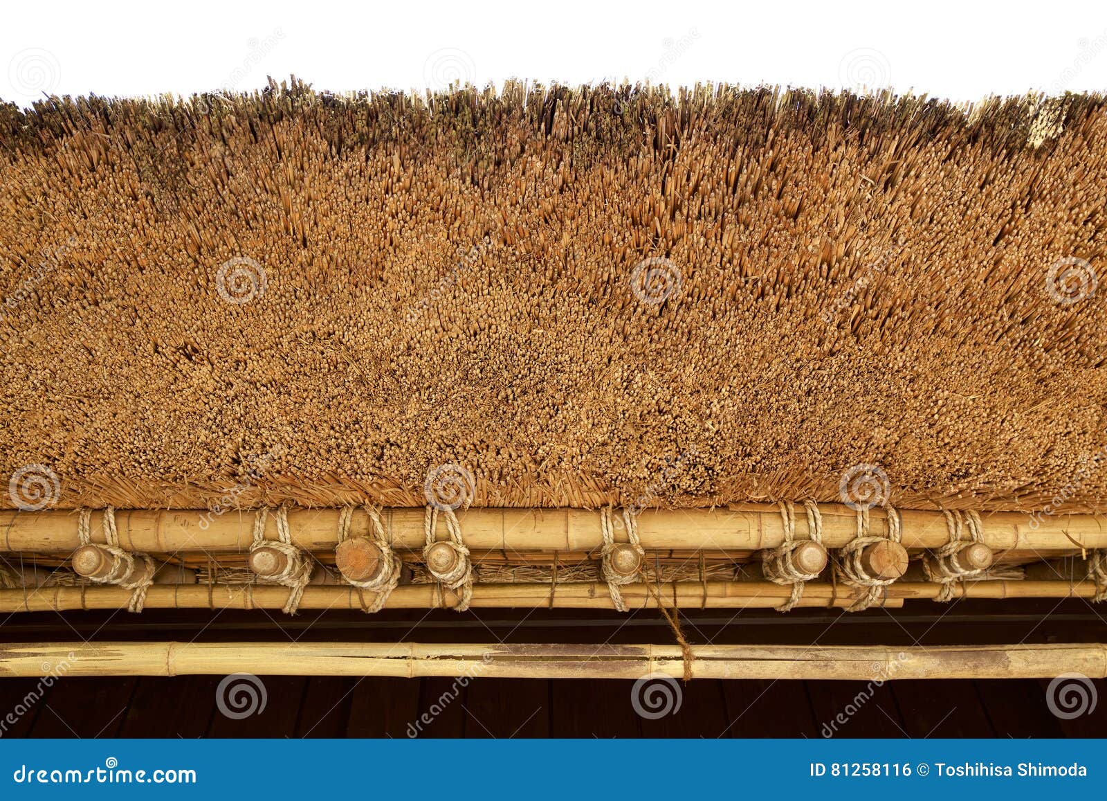 Thatched roof in Japan stock photo. Image of style, autumn - 81258116