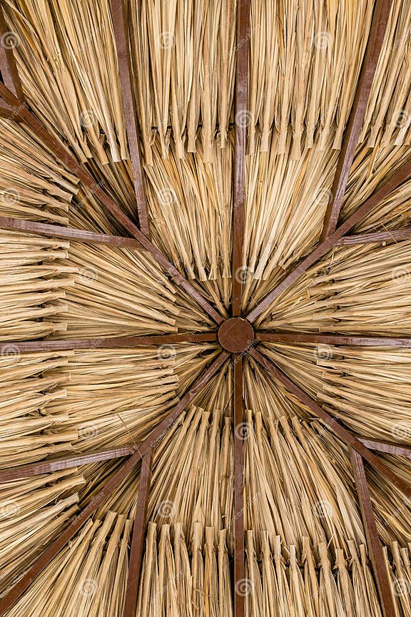 Thatched Roof of Palm Fronds Stock Photo - Image of pattern, backdrop ... Thatched Roof of Palm Fronds Stock Photo - Image of pattern, backdrop ...