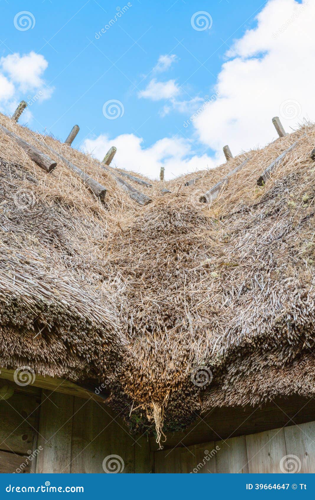Thatched roof stock image. Image of reed, construction - 39664647
