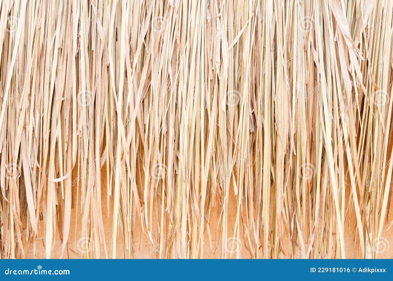 Thatched roof stock photo. Image of natural, details - 229181016