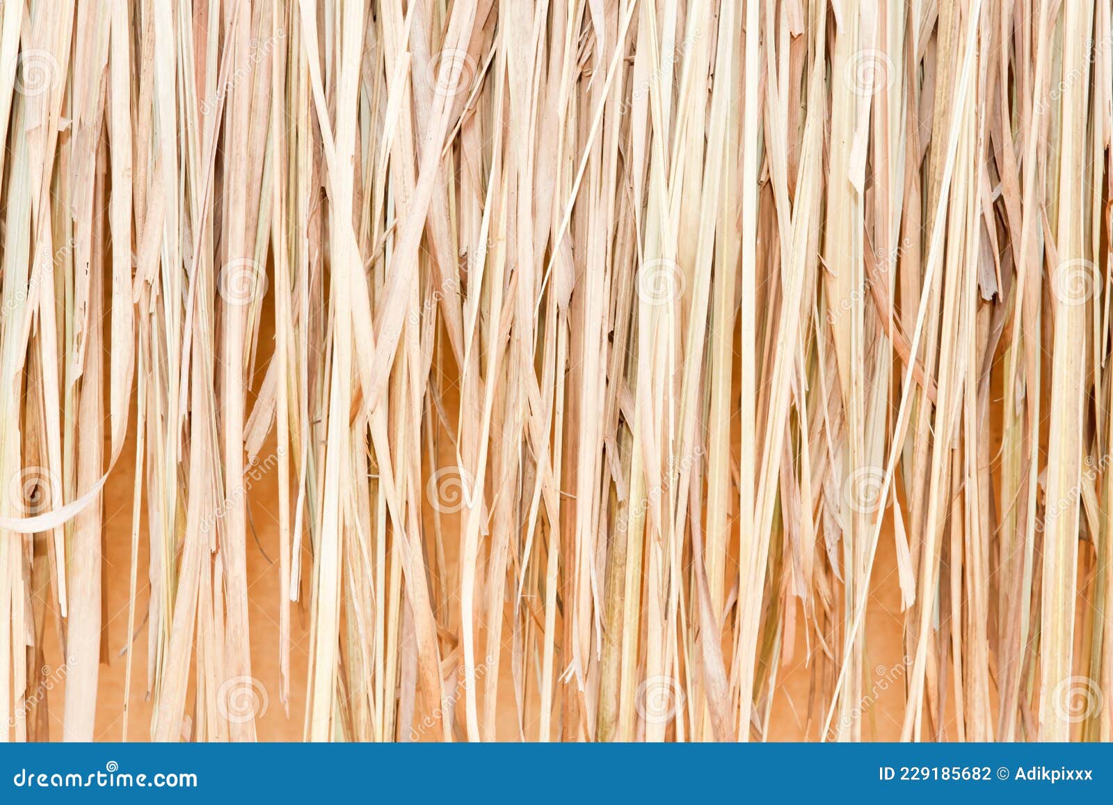 Thatched roof stock photo. Image of brown, house, natural - 229185682
