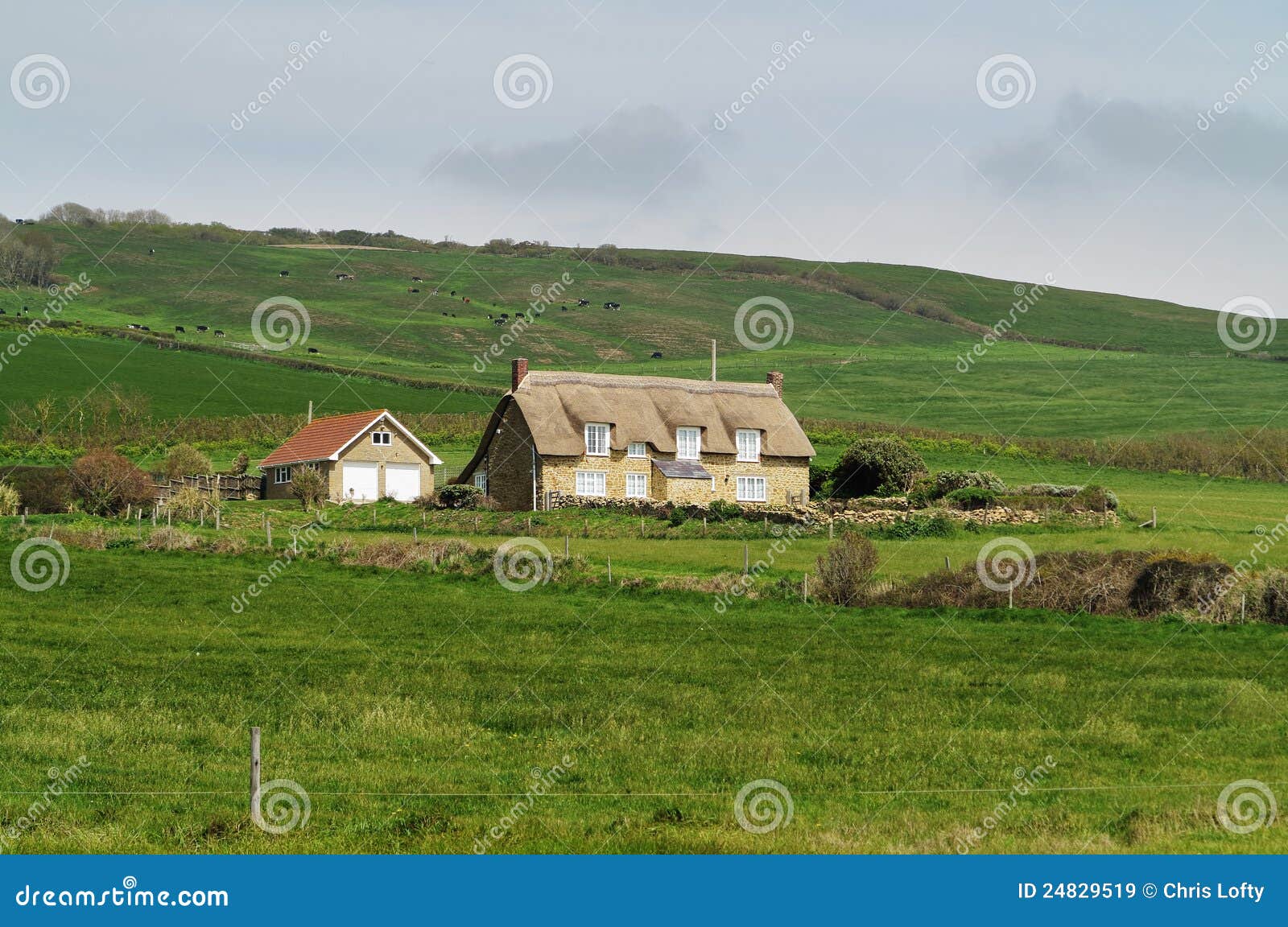 Thatched Rural House stock image. Image of thatch, building - 24829519