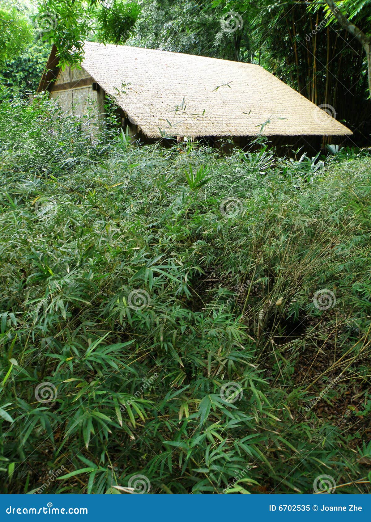 Thatched straw hut, forest stock image. Image of colours - 6702535