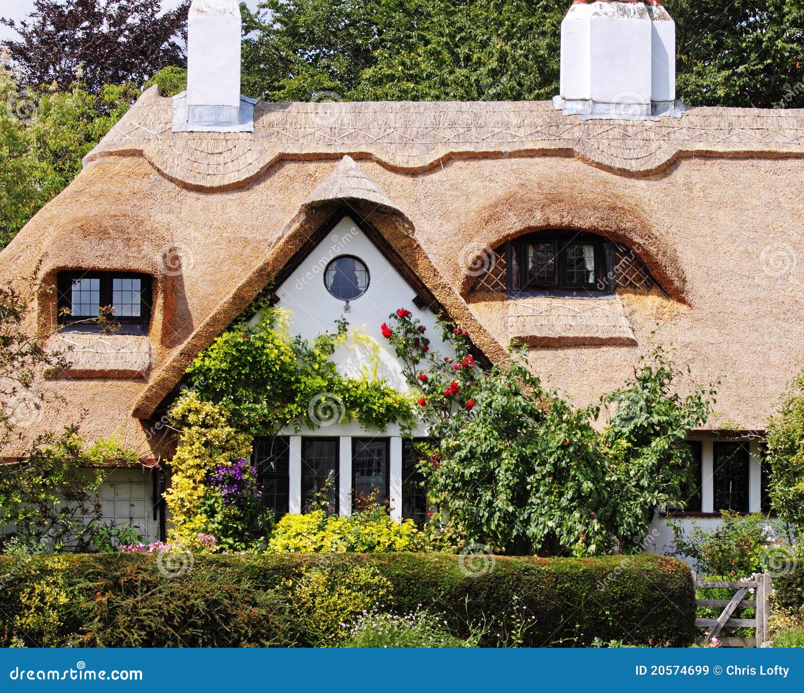Thatched Village Cottage with Roses Stock Image - Image of thatched ...