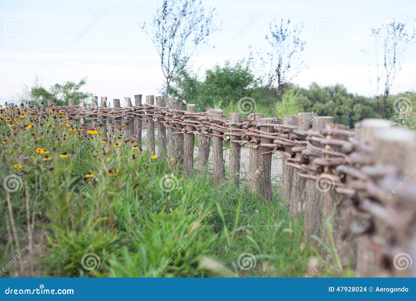 Thatched vine fence stock photo. Image of country, garden - 47928024