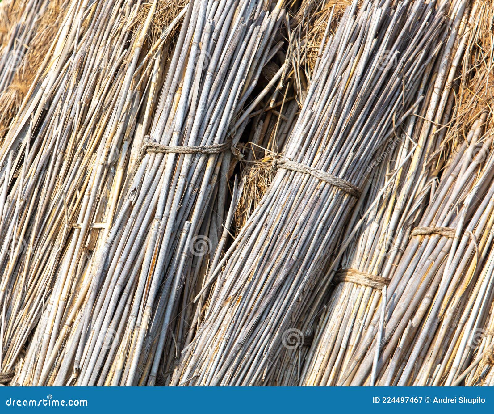 Thatched Wall As an Abstract Stock Image - Image of backdrop, pattern ...