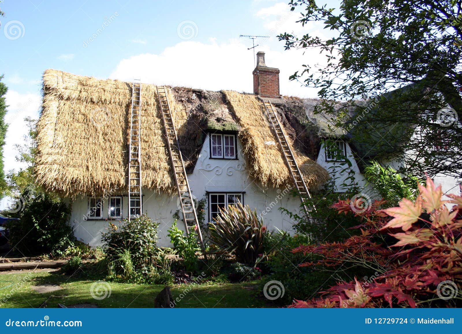 Thatching stock photo. Image of straw, garden, roofing - 12729724