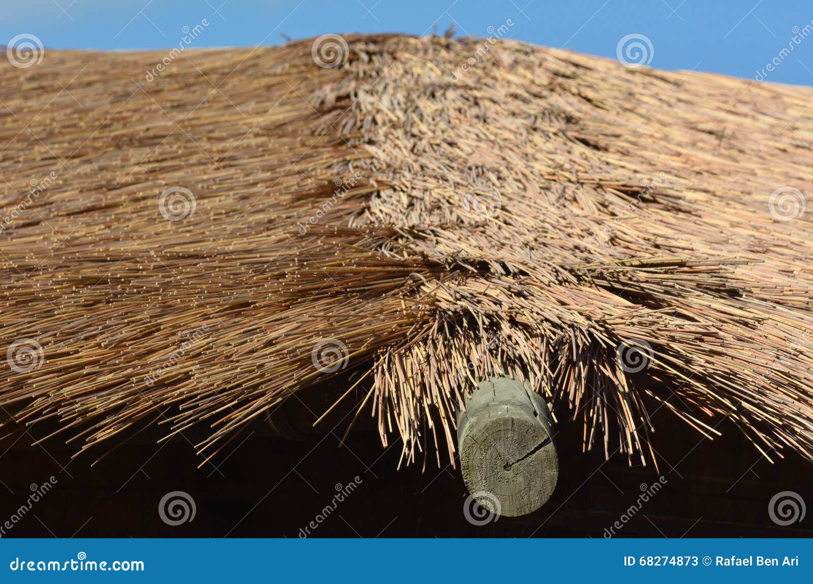 Thatching Straw roof stock image. Image of architecture - 68274873