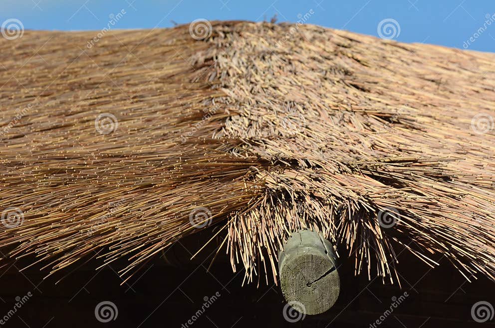 Thatching Straw roof stock image. Image of architecture - 68274873