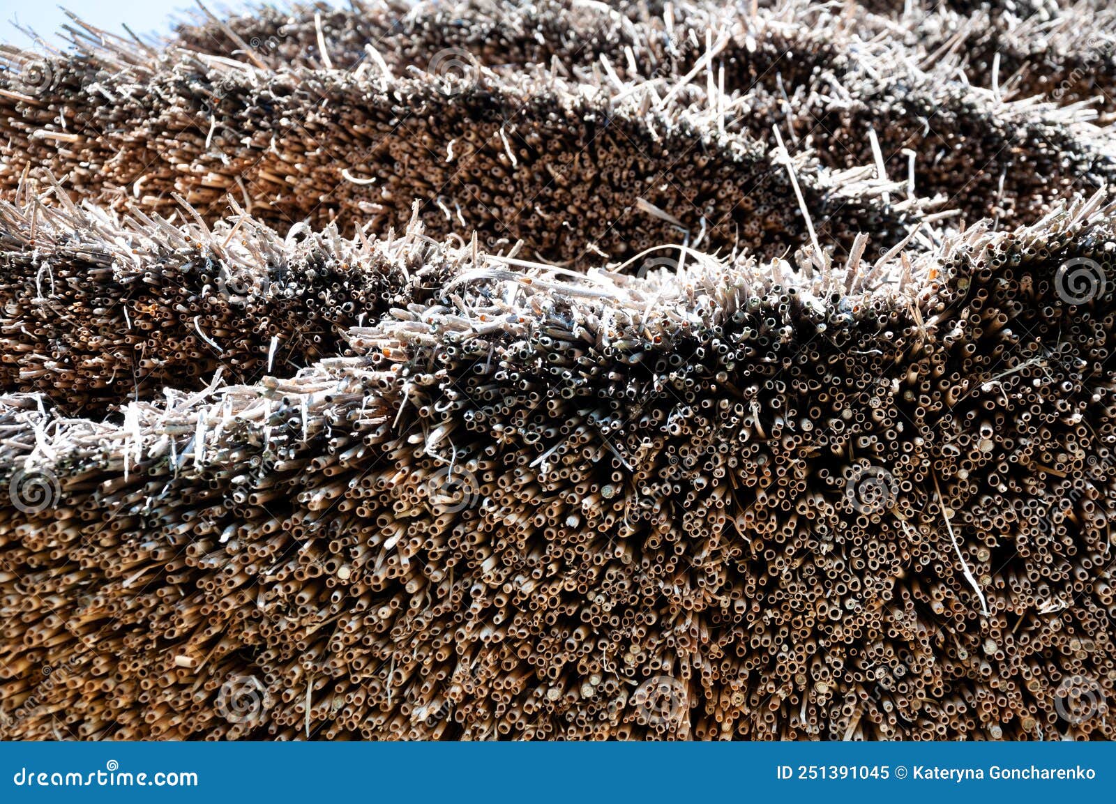 Thatching Straw Thatch Thatched Texture Textured Surface Abstract ...