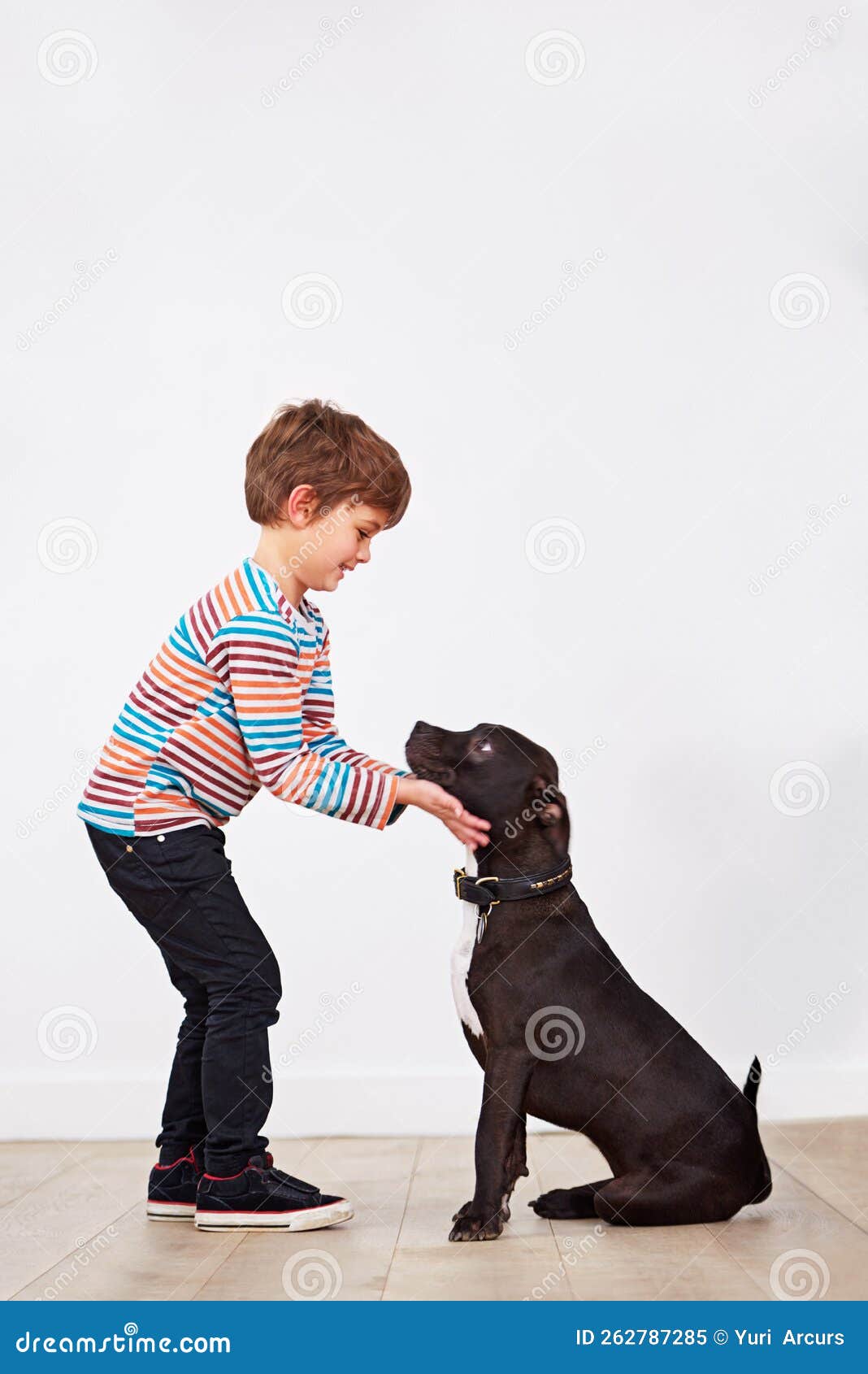 Thats a Good Boy...a Cute Little Boy Playing with His Dog. Stock Image ...