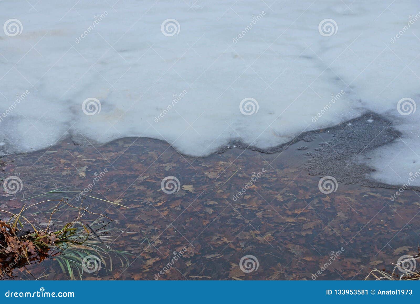 Thaw on a Pond with Water and White Ice Stock Image - Image of motion ...