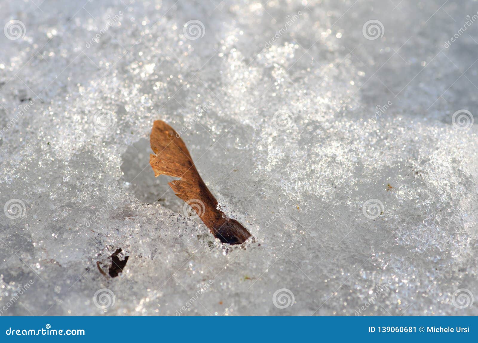 Thaw, Snow and Ice Melt, Sun, Light and Spring Return Stock Image ...
