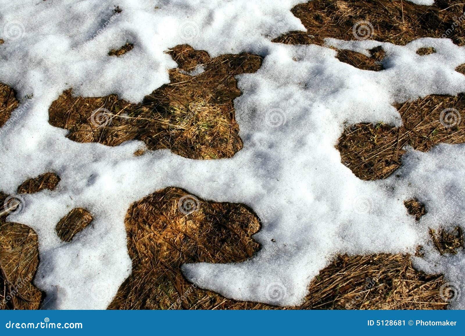 Thawed patch stock image. Image of dirty, lawn, thaw, life - 5128681