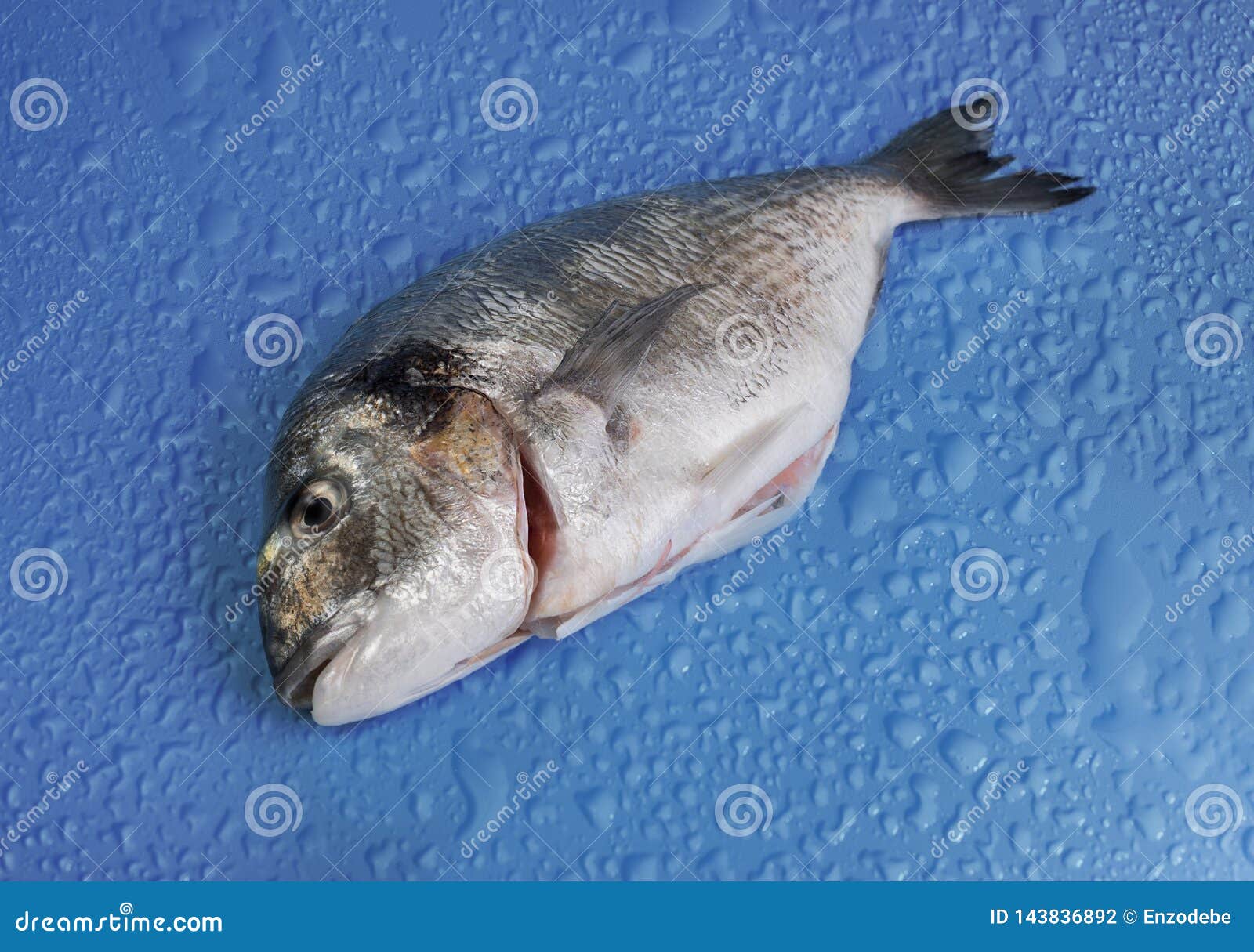 Fish Due To Suffocation And Lack Of Oxygen Coming To Water Surface For ...